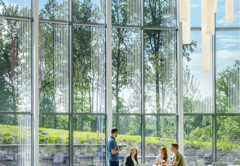 Sheppard Pratt Hospital Building